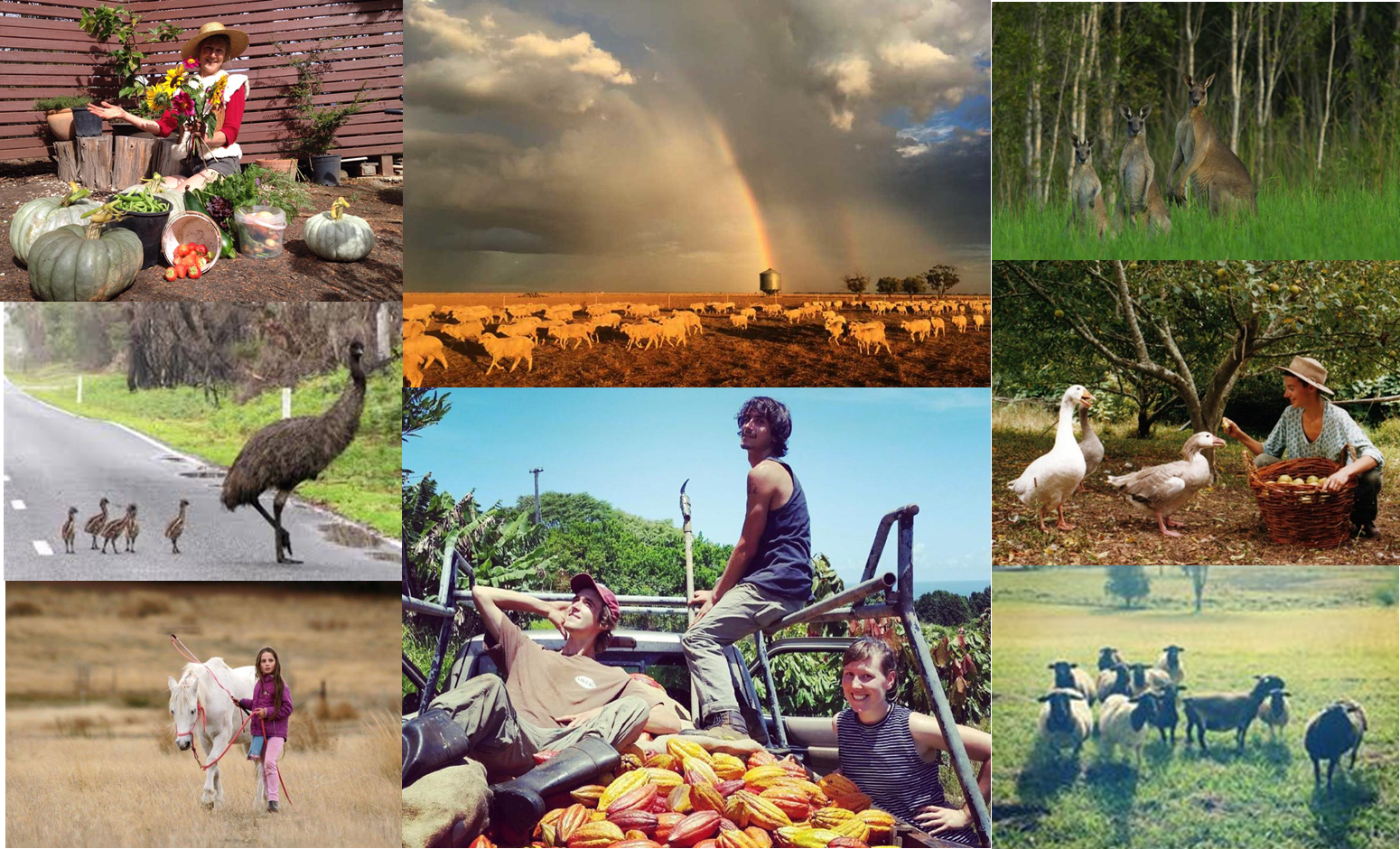 Why go WWOOFing in Australia? | WWOOF Australia