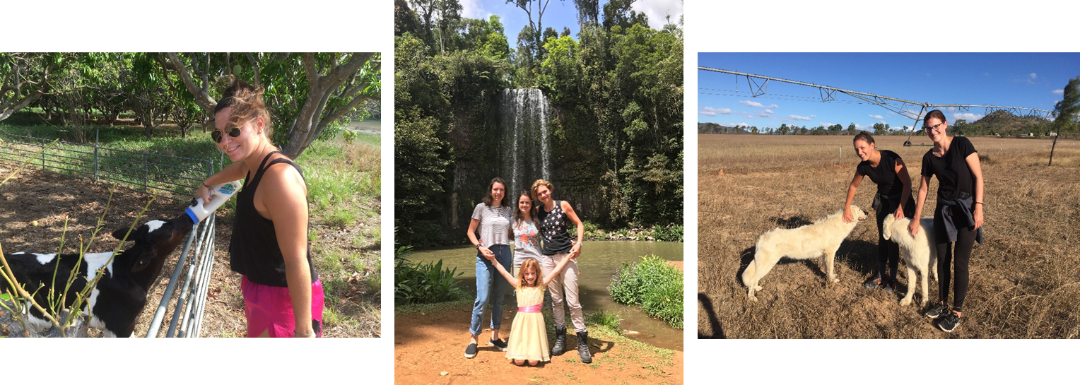 Another Wonderful WWOOFing Story… | WWOOF Australia