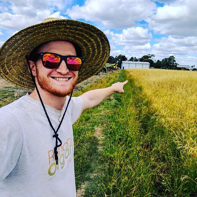 Randall Organic Rice | WWOOF Australia
