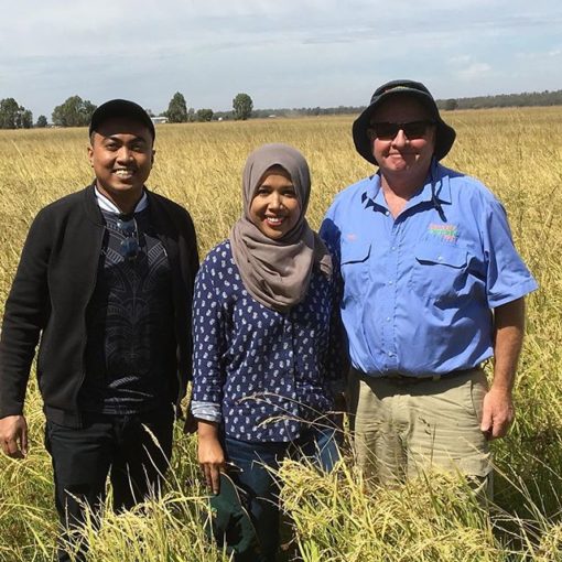 Randall Organic Rice | WWOOF Australia