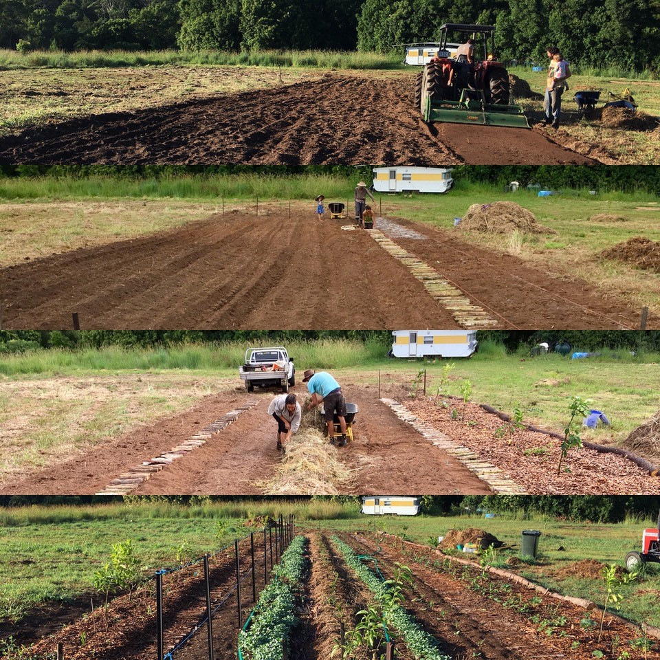 Learn Syntropic Agriculture WWOOFing | WWOOF Australia