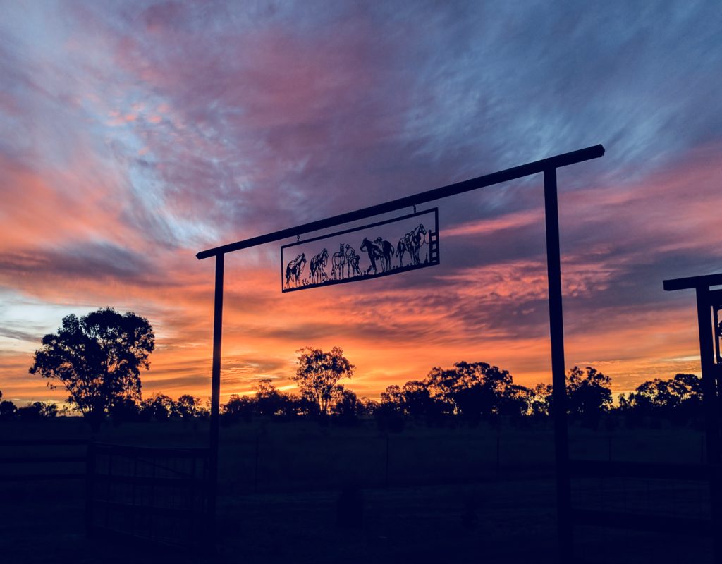 Great advice from an Australian WWOOFer | WWOOF Australia