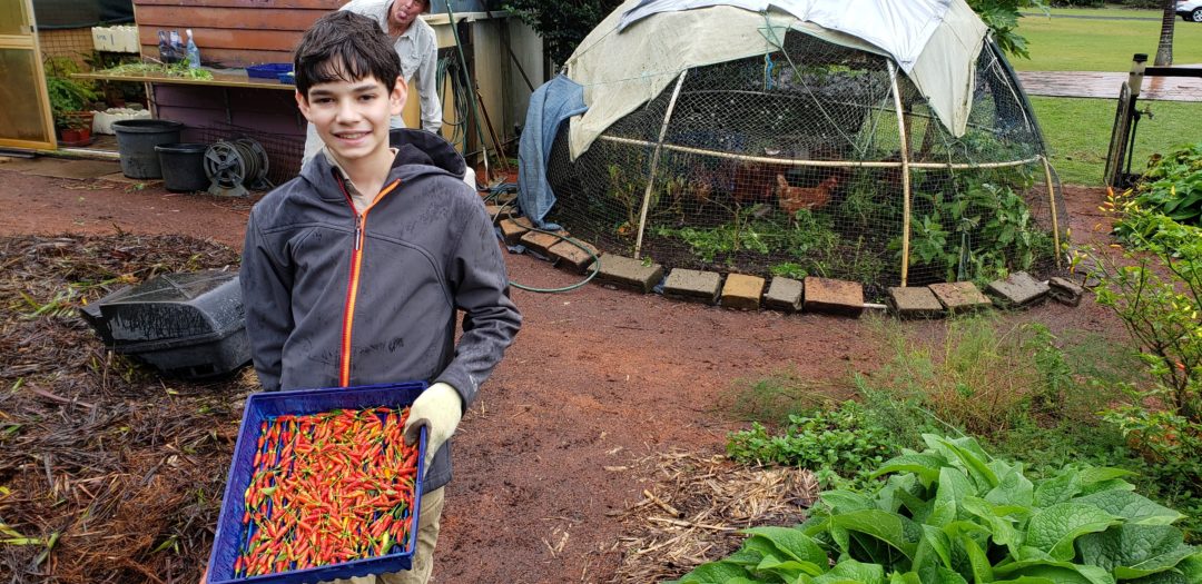 WWOOFing as a Family! | WWOOF Australia