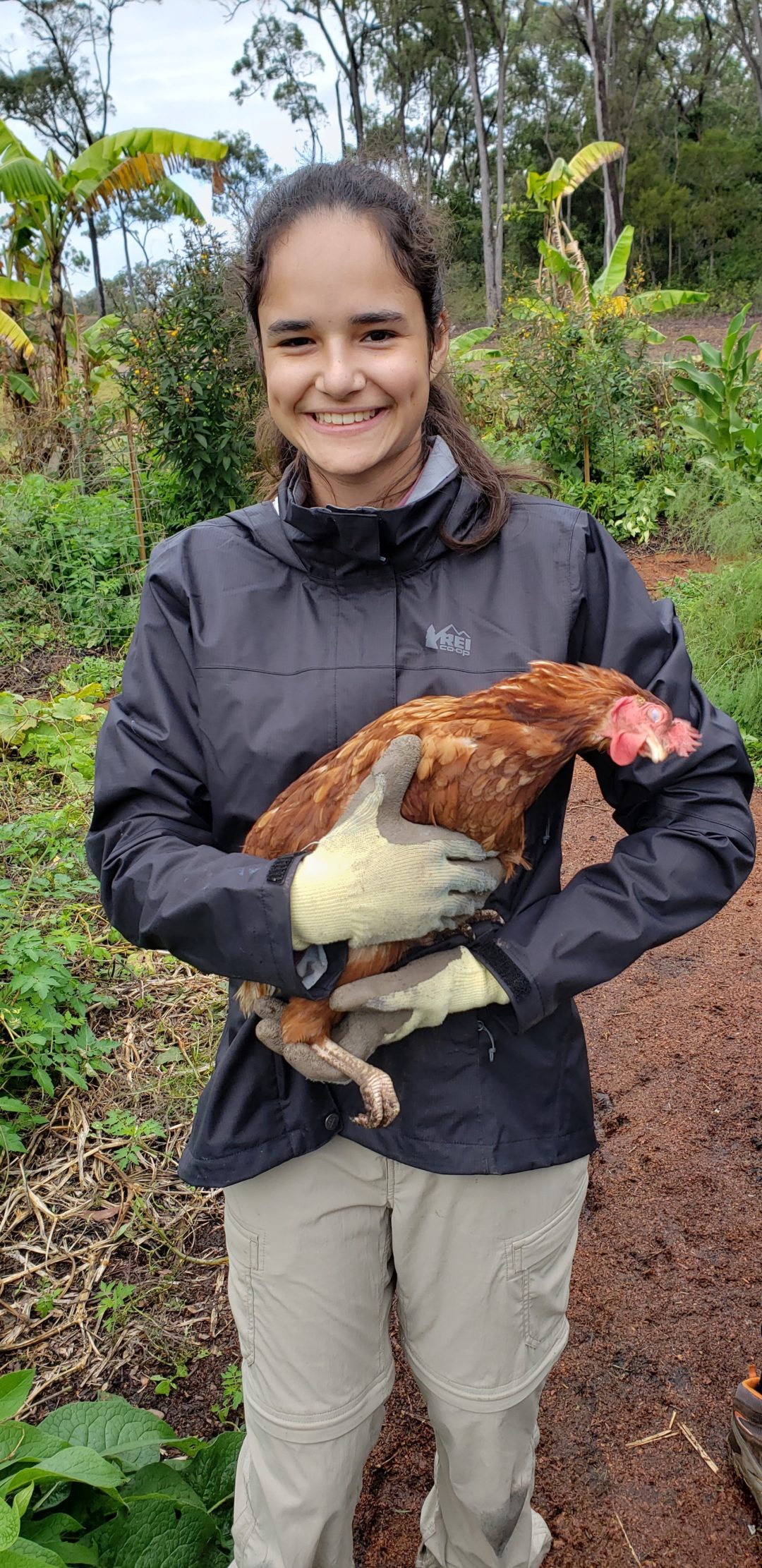 WWOOFing as a Family! | WWOOF Australia