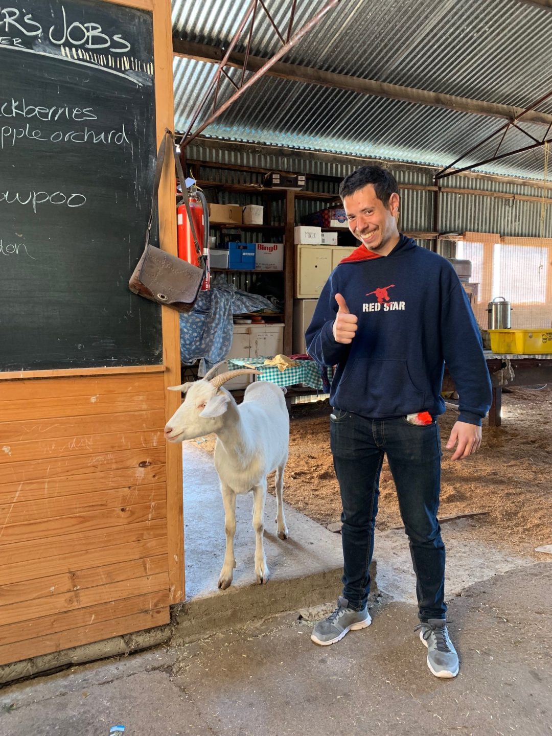 Hosting WWOOFers for over 20 years! | WWOOF Australia