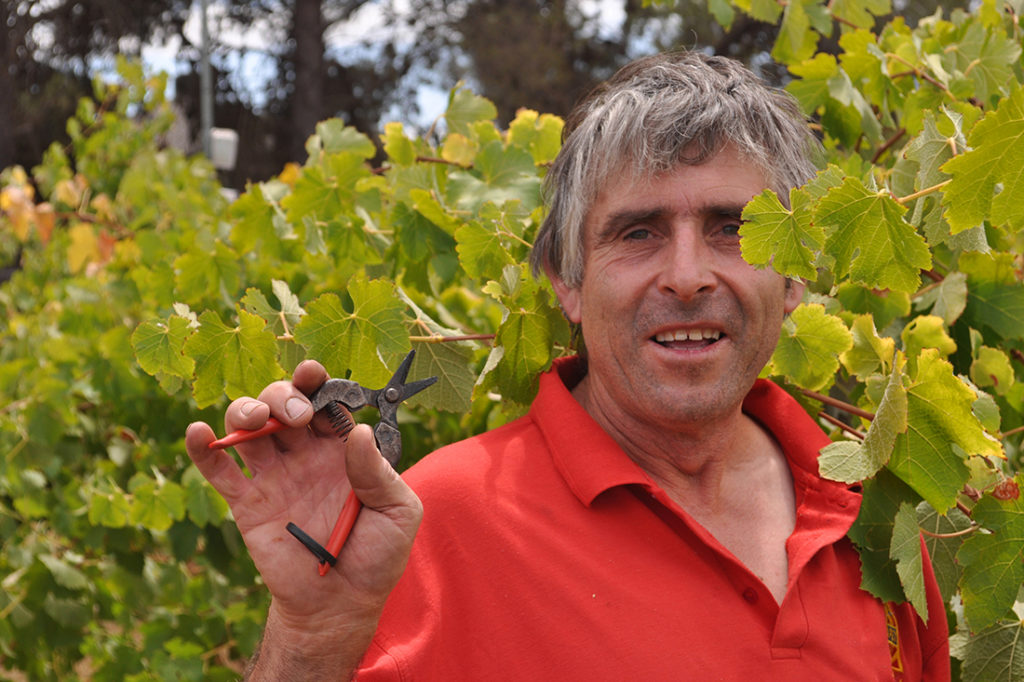 WWOOFing, enrichment of mutual exchange | WWOOF Australia