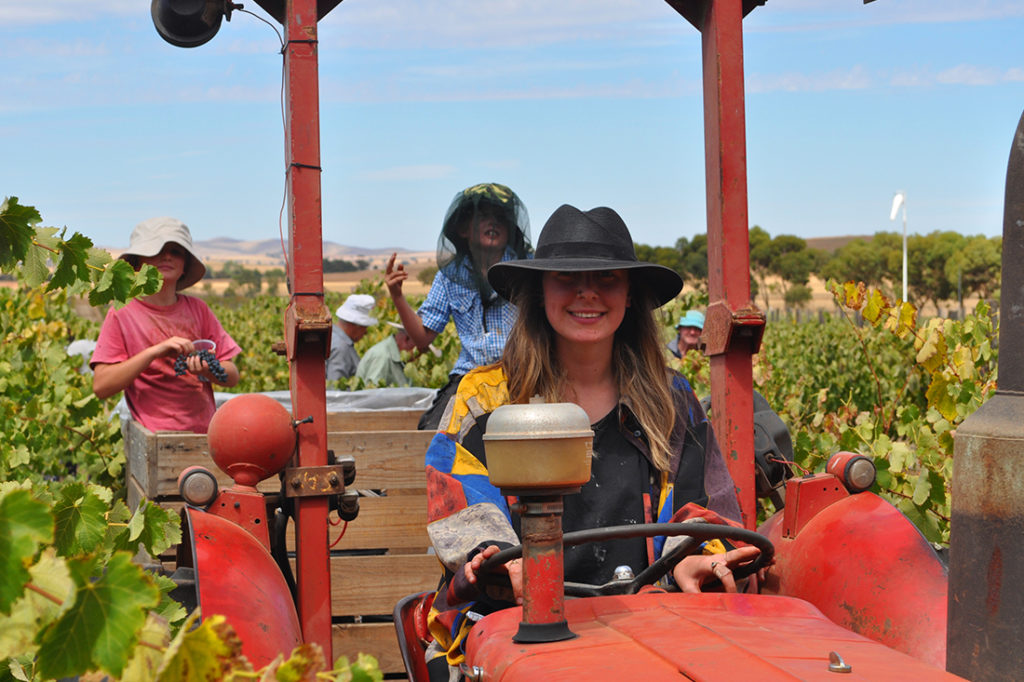 The WWOOFing way during Covid-19 | WWOOF Australia