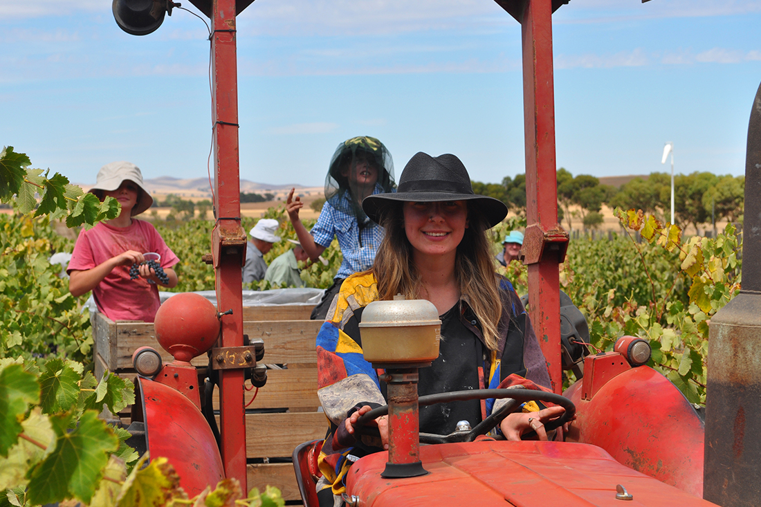 The WWOOFing way during Covid-19 | WWOOF Australia