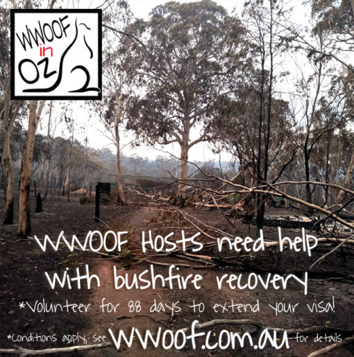 2nd & 3rd Year Visa news update from the WWOOF Office – WWOOF Australia