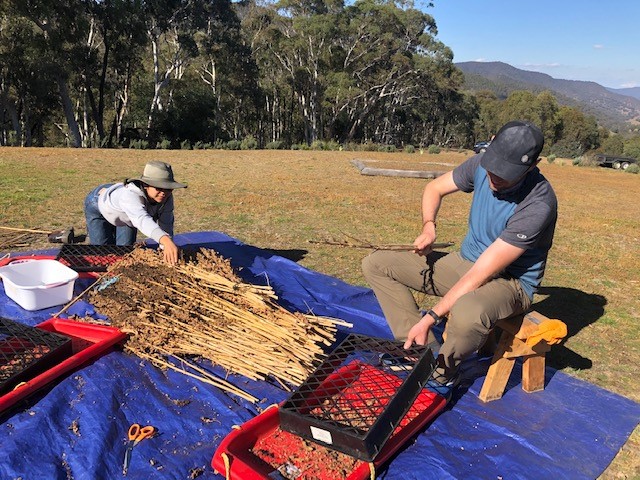My WWOOFing experience | WWOOF Australia