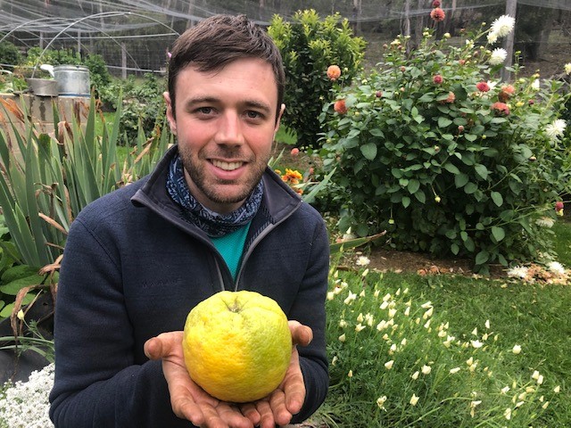 My WWOOFing experience | WWOOF Australia