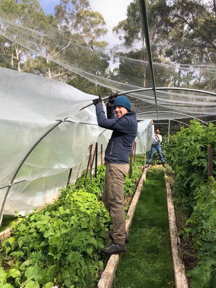 My WWOOFing experience | WWOOF Australia
