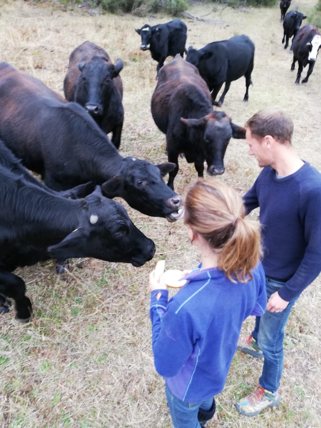 Travelling with WWOOFers | WWOOF Australia