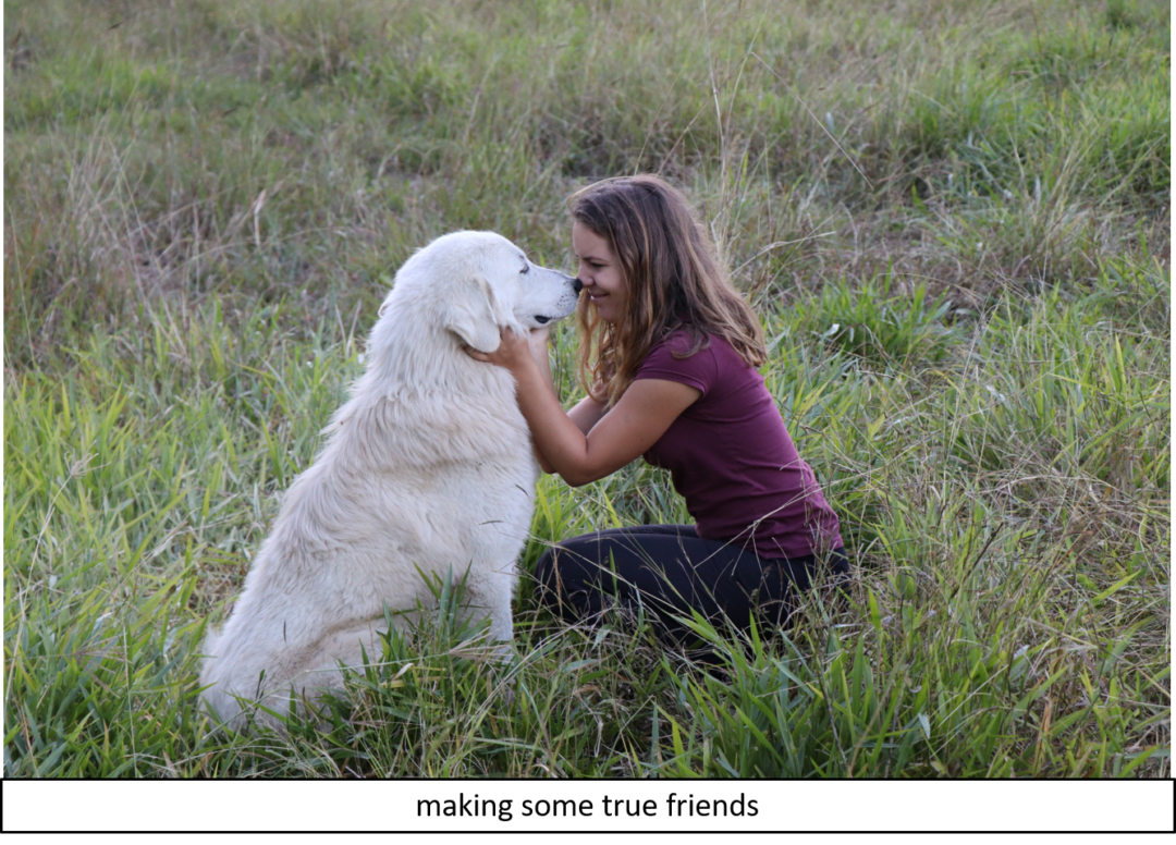 Thank you WWOOF Australia | WWOOF Australia