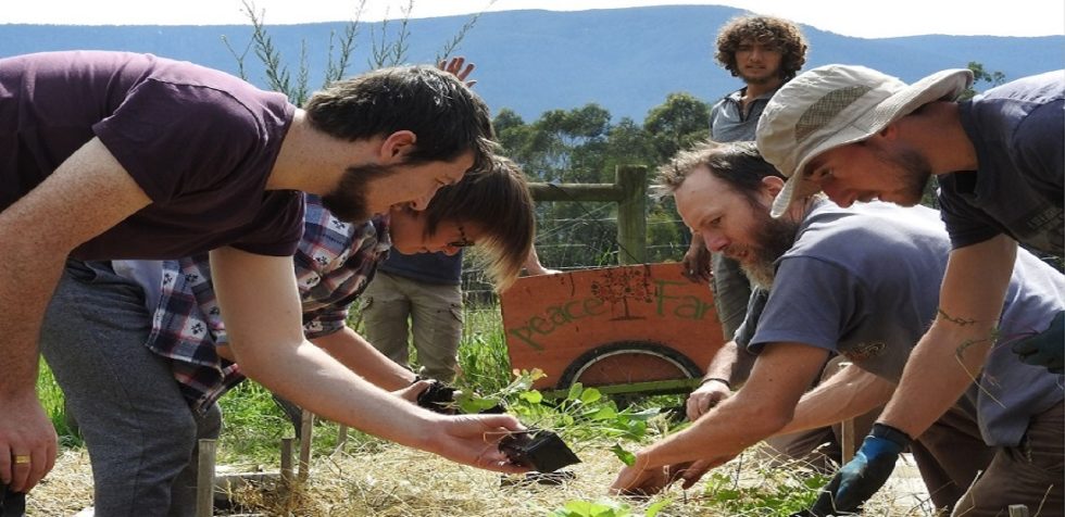Become a steward of the land, join WWOOF | WWOOF Australia