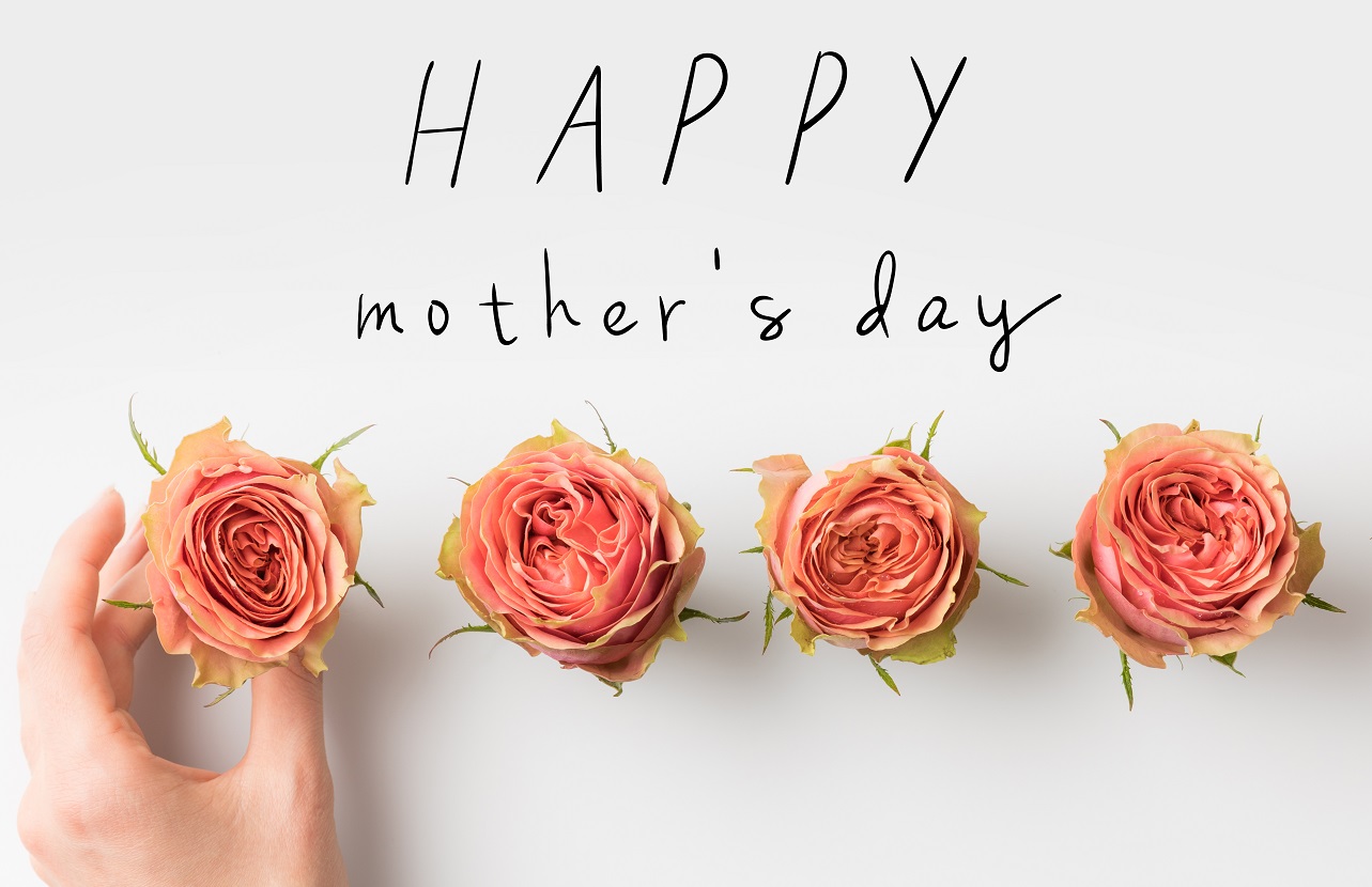 Learn Sustainable Living while WWOOFing | WWOOF Australia