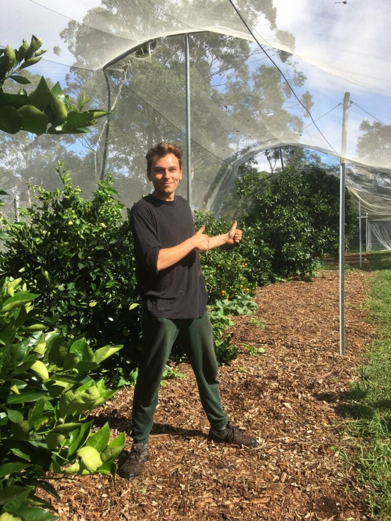 Life lessons in WWOOFing – WWOOF Australia