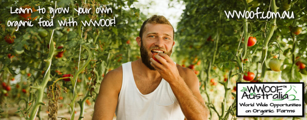 Why we joined WWOOF – WWOOF Australia