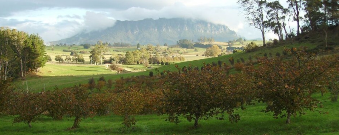 WWOOFing, the Dual Experience | WWOOF Australia