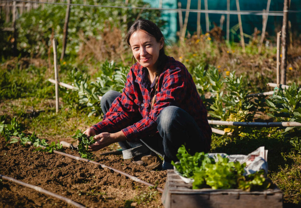 How it works | WWOOF Australia