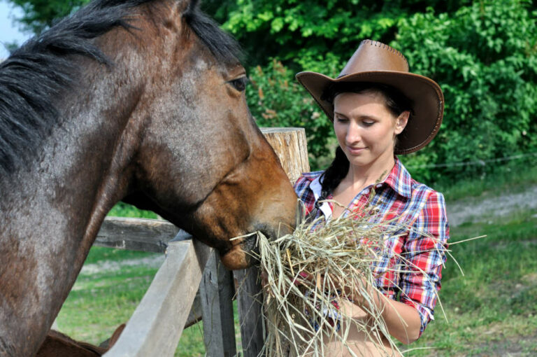 How it works – WWOOF Australia