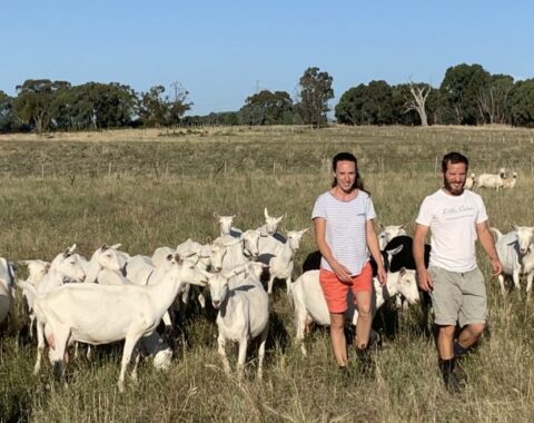 WWOOF Australia | WWOOF – World Wide Opportunities on Organic Farms