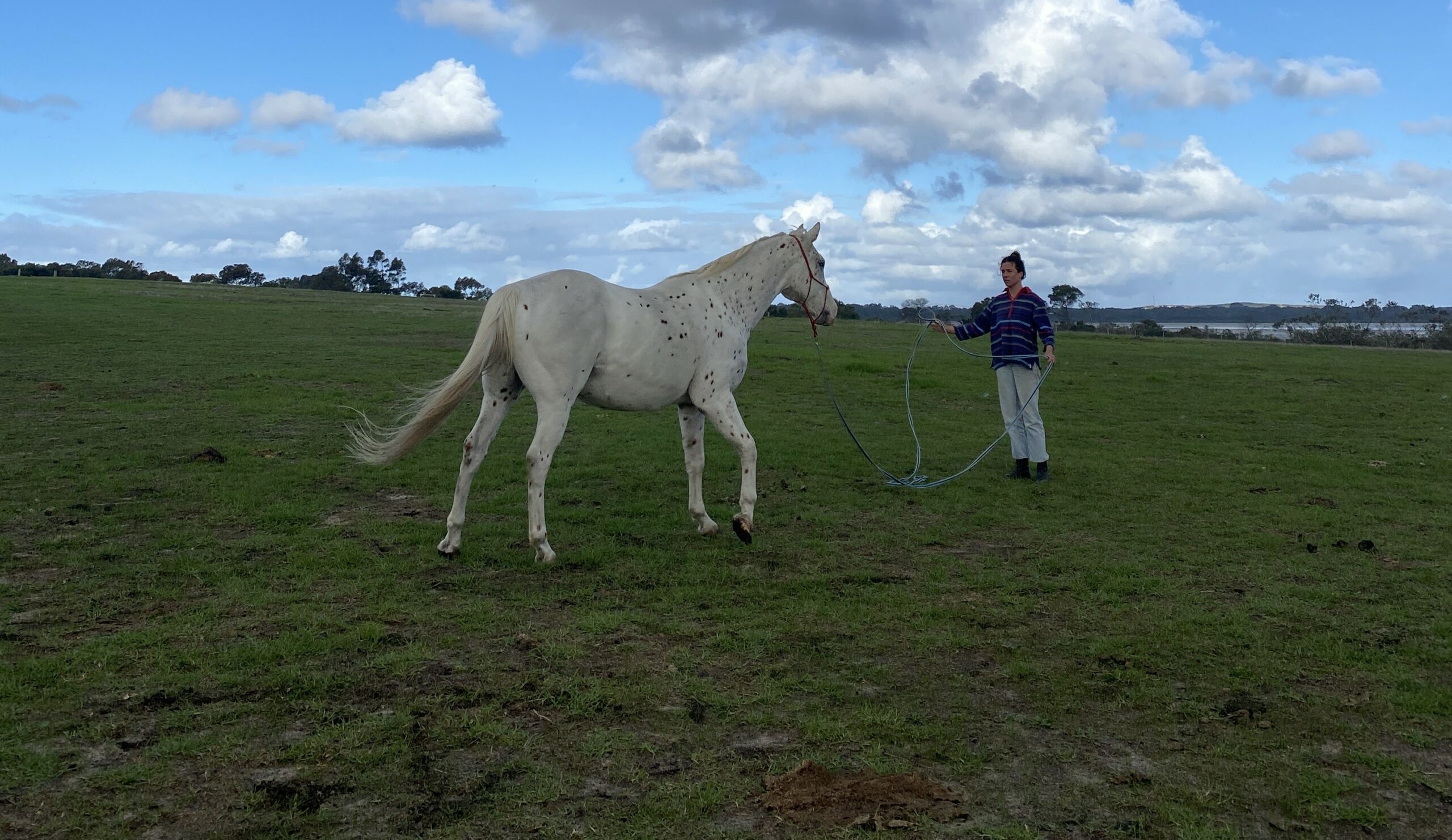 WWOOFing in Australia - Jess’ Story | WWOOF Australia
